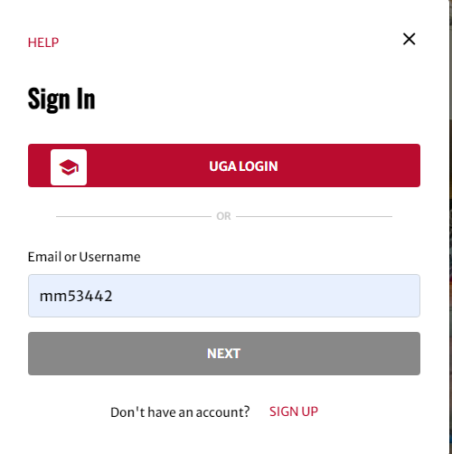 Creating a Team for Intramural Sports - Recreational Sports